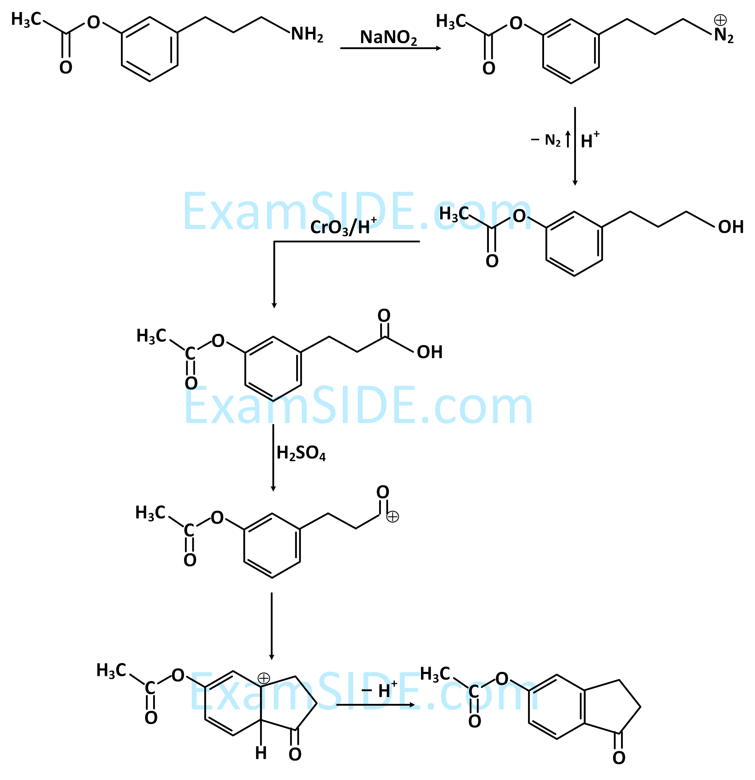 JEE Main 2019 (Online) 10th January Morning Slot | Compounds Containing ...